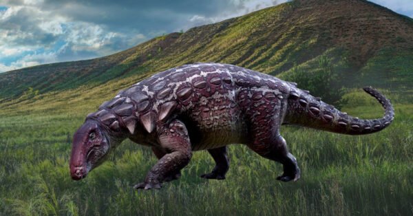 Ankylosaurus Facts
