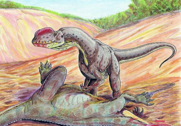 Facts About Dilophosaurus - Did this dinosaur spit acid?