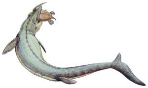 Mosasaurus - Was it a real dinosaur, a fish, or a reptile?