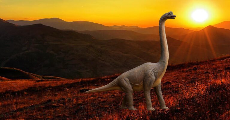 Brontosaurus Facts - Everything about the dinosaur with a long neck!