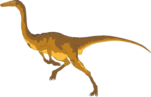 The fastest dinosaur in the world - Here are the candidates!