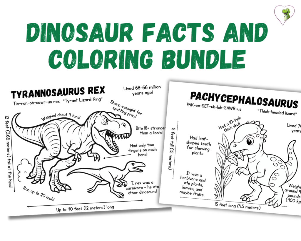 Dino Discovery: Dinosaur Facts and Coloring Bundle (10)